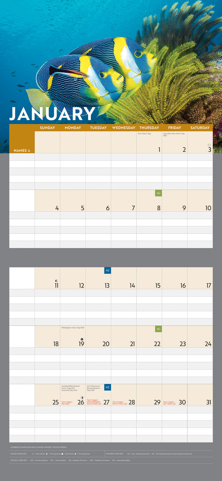 2026 Calendar Steve Parish Australian Wildlife Family Planner Square W ...