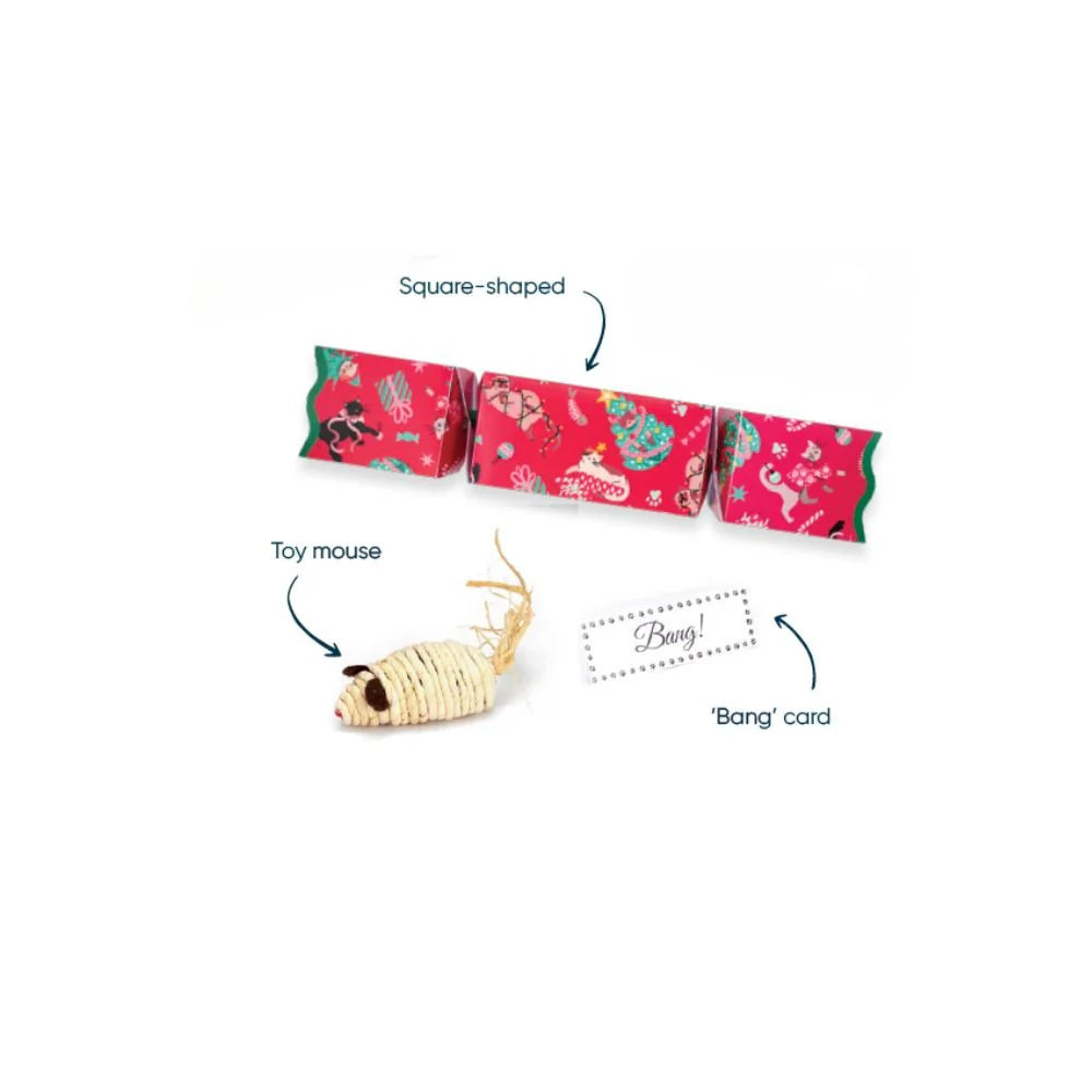 CELEBRATION CRACKERS Cat Christmas Cracker – Blink Gift Station